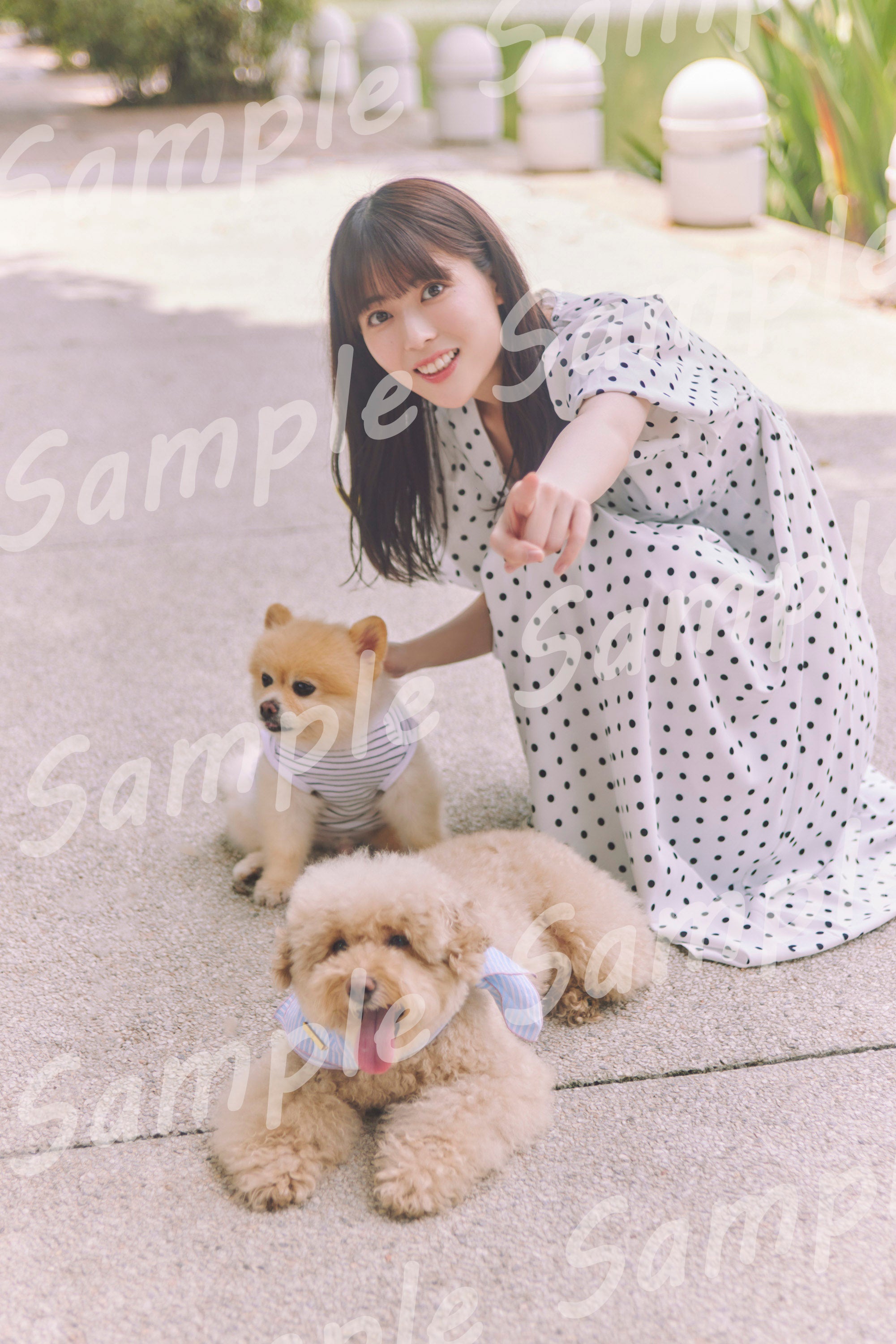 画像20 44 乃木坂46岩本蓮加、ネイビーランジェリーで大人な表情 ポストカード第6弾解禁【いたずらな風】 モデルプレス