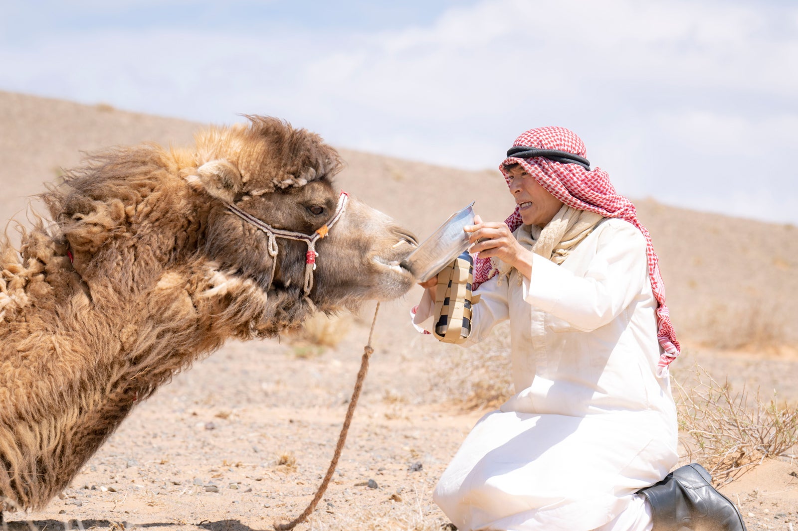 (画像4/11) 「VIVANT」堺雅人、乃木の別人格Fに言及 続編決定で“正体”に注目集まる - モデルプレス
