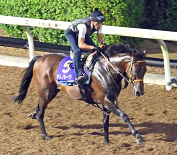 【スプリンターズS】サトノレーヴ 順調な仕上がり 堀師「カイ食い、健康状態が良くて活気がある」 - モデルプレス